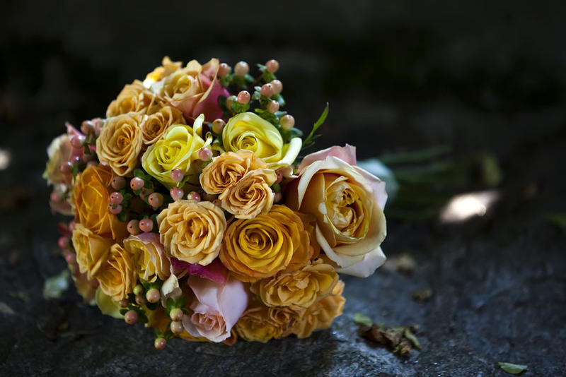 ShareNY SharePICS - Shareable