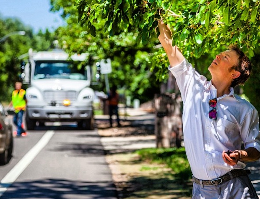 Falling Fruit: Mapping Free Food Around the World - Shareable