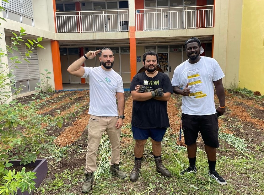 Green Haven Project is nurturing underserved communities one garden at ...